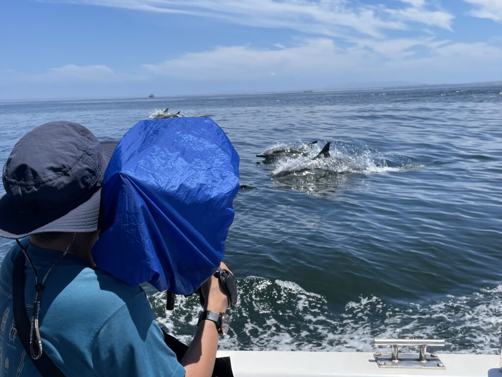 アフリカ大陸の最南端、南アフリカの大冒険！ BS12 「NEXT TRIP 南アフリカ編」 撮影 【後編】 | 株式会社NAE